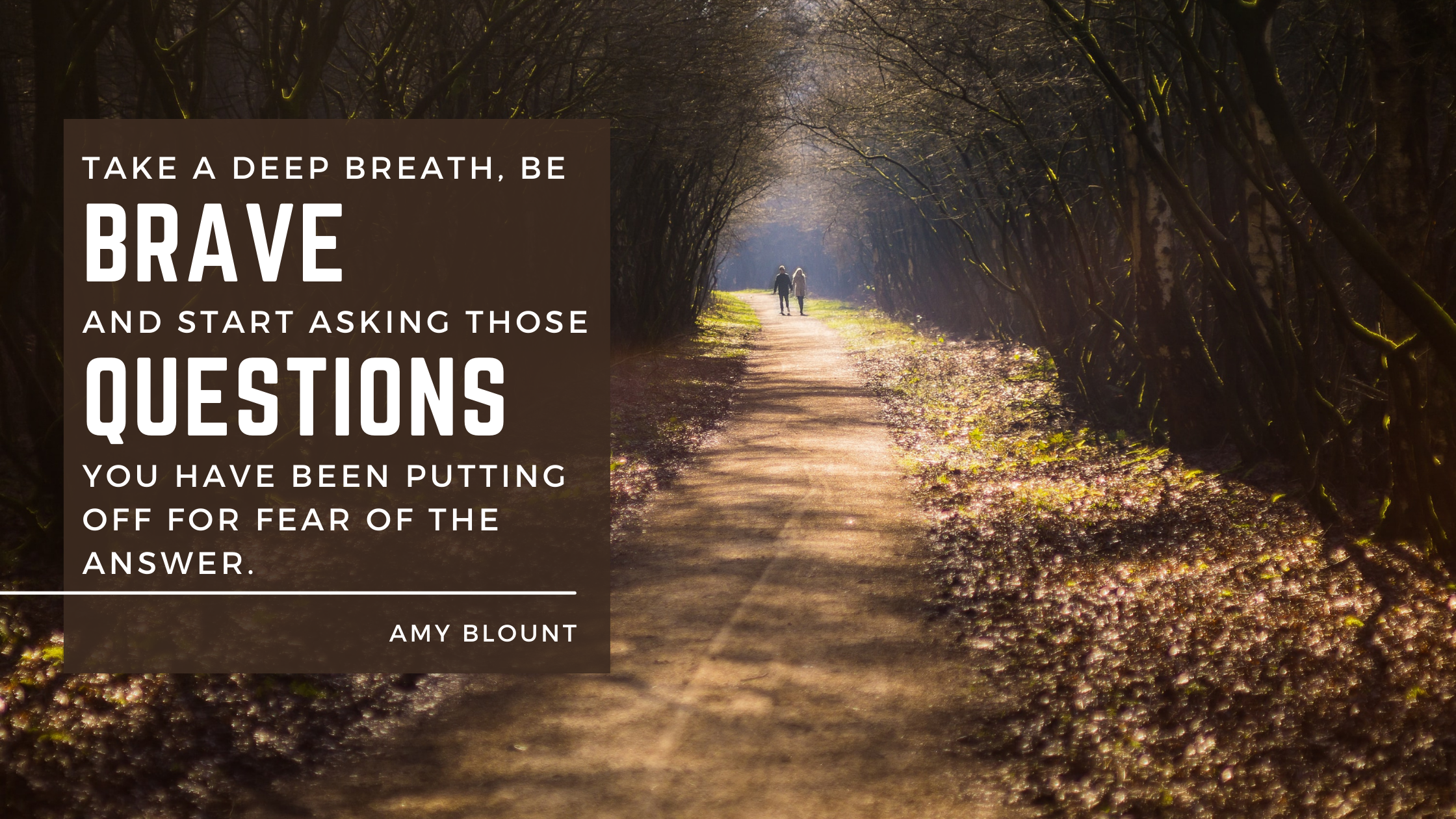 Brave Questions – Reflected Light